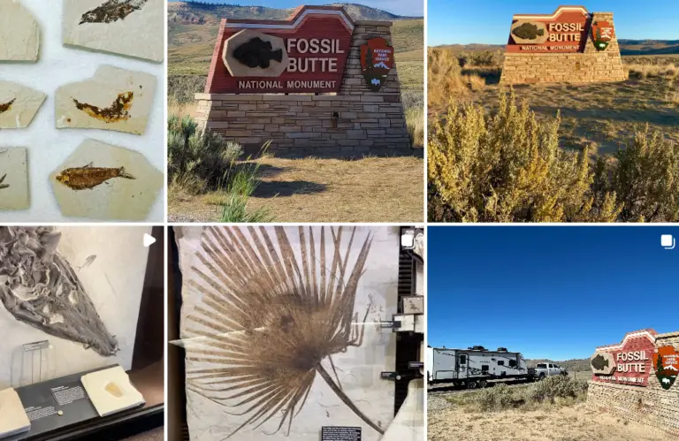 Fossil Butte National Monument : Interesting Facts, History & Travel Guide