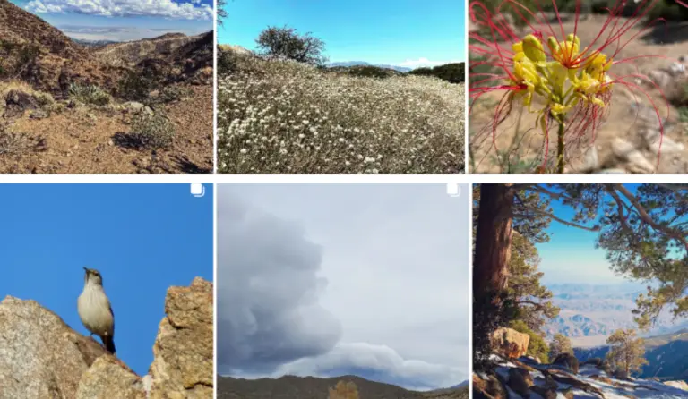 Santa Rosa and San Jacinto Mountains : Interesting Facts, History ...